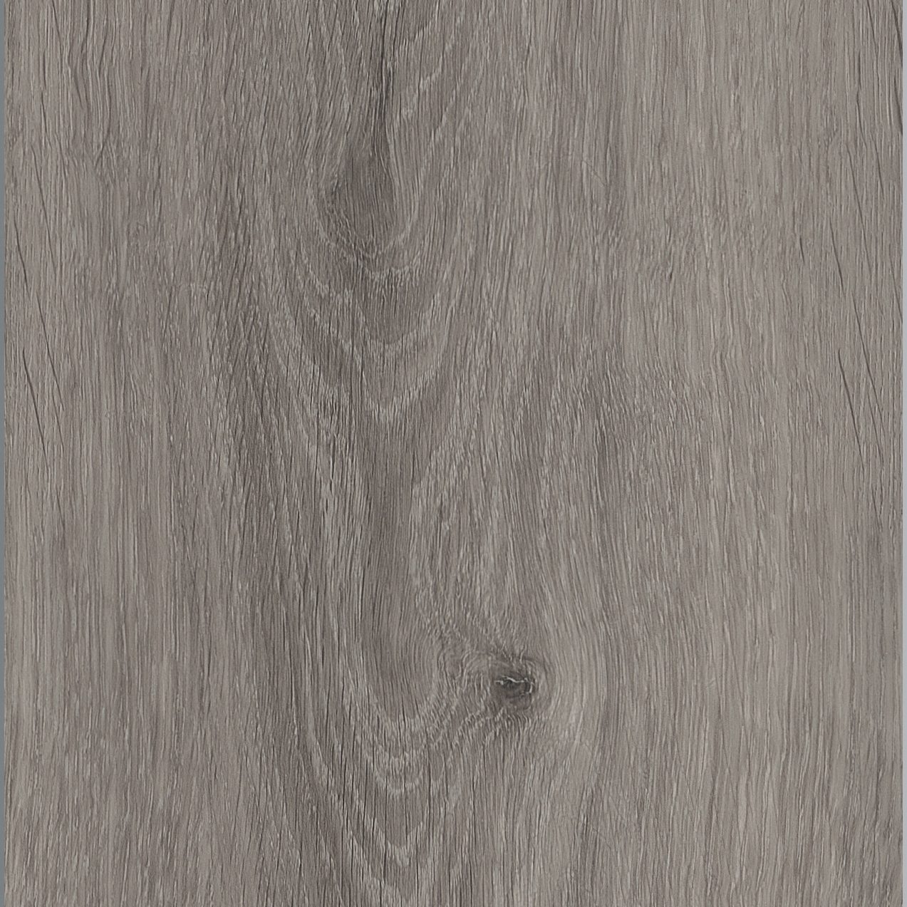 Invictus Silk oak | Shade | Gratis offerte!